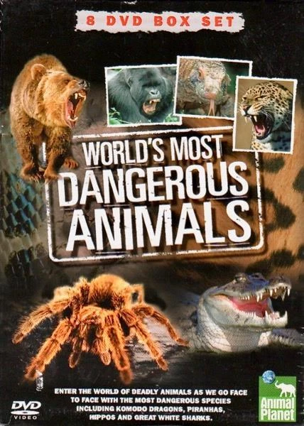 WORLD'S MOST DANGEROUS Animals (8 DVD Boxset / 2007) EUR 14,16 ...