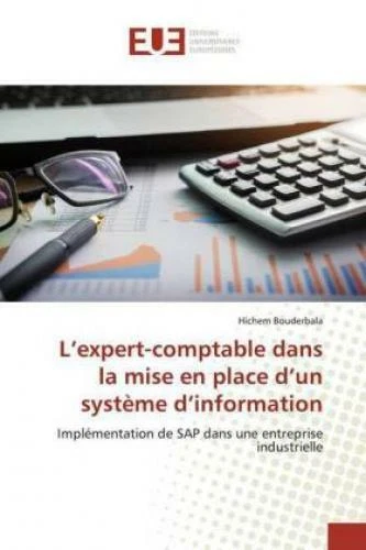 L'EXPERT-COMPTABLE DANS LA mise en place d'un système d'information Impléme 5752 EUR 76,90 ...