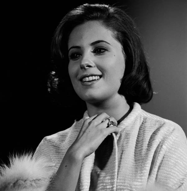 BARBARA PARKINS APPEARING In Peyton Place 1960S Old Tv Photo 40 EUR 5 ...