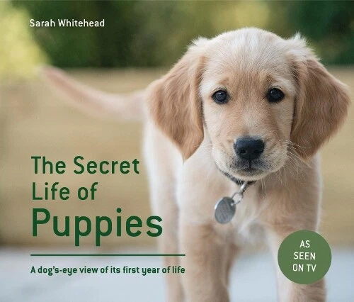 SARAH WHITEHEAD THE Secret Life of Puppies (Relié) EUR 11,78 - PicClick FR