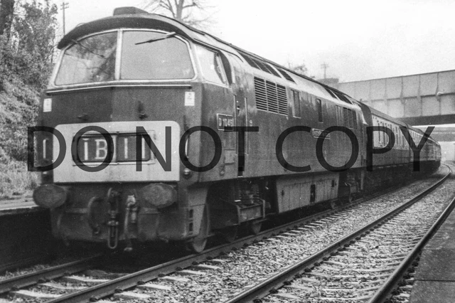 UK DIESEL TRAIN Railway Photograph Of Class 52 Western D1046. Rm52-184 ...