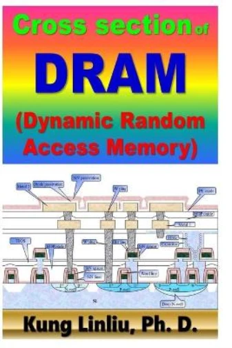 KUNG LINLIU CROSS Section of DRAM (Dynamic Random Access Memory) (Poche) EUR 19,65 - PicClick FR
