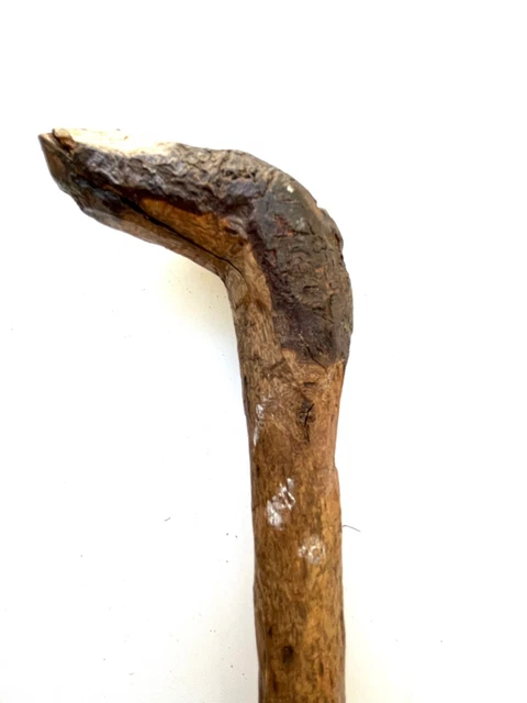 OLD ABORIGINAL WALKING Stick Artefact - South-West Western Australia ...