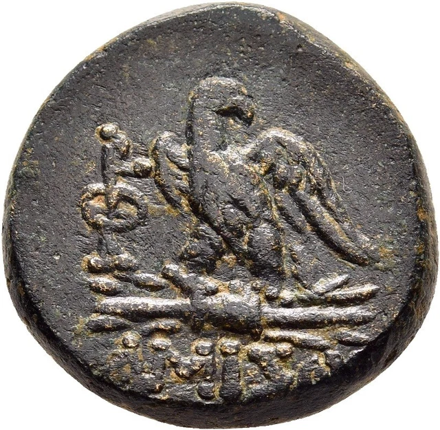 FITZ GREEK PONTOS Amisos Zeus Eagle Thunderbolt Bronze Ae ~Bgb353 £7.28 ...