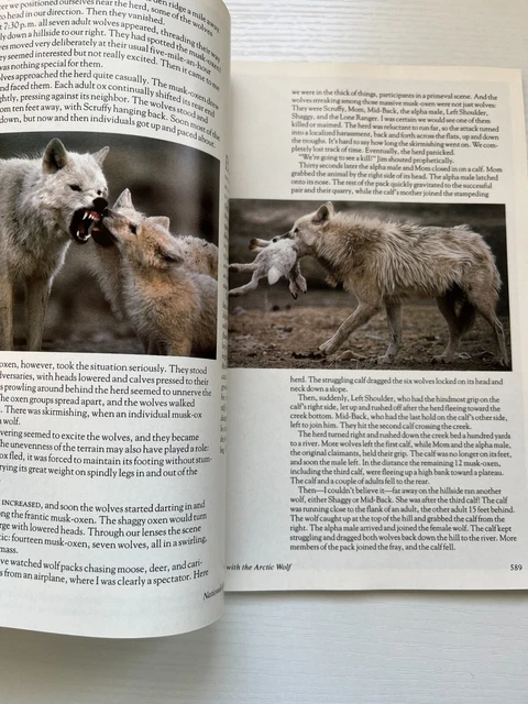 NATIONAL GEOGRAPHIC MAGAZINE / May 1987 $4.99 - PicClick CA
