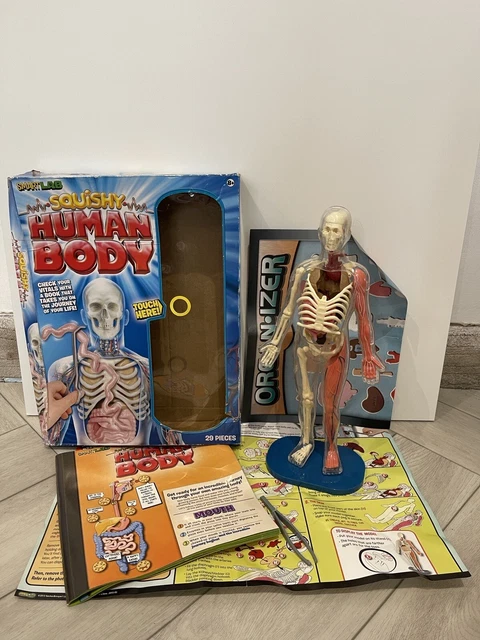 SMART LAB SQUISHY Human Body Realistic Model and Anatomy Book 29 Body ...
