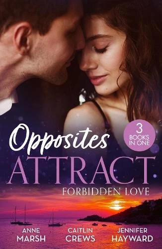 OPPOSITES ATTRACT: FORBIDDEN Love: Ruled (Hard Riders Mc) / the Secret ...