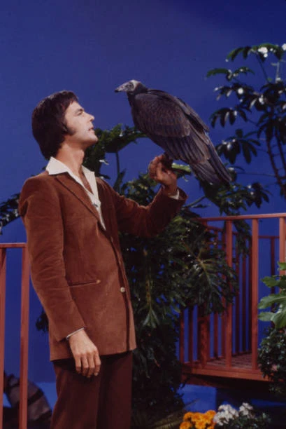 JIM STAFFORD HOSTING the ABC tv series Those Amazing Animals 1980s Old ...