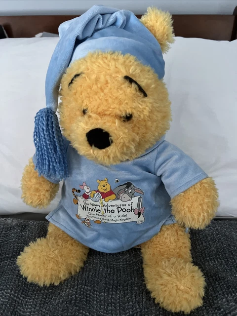 DISNEY PARKS WINNIE The Pooh Night Time Plush Pajamas Night Shirt ...