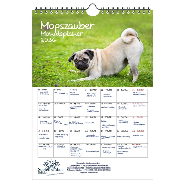 MOPSZAUBER PLANER DIN A4 Kalender für 2026 Mops Hunde und Welpen ...