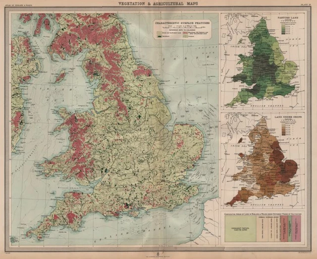 ENGLAND WALES. VEGETATION Agriculture cultivated land crops. LARGE 1903 ...