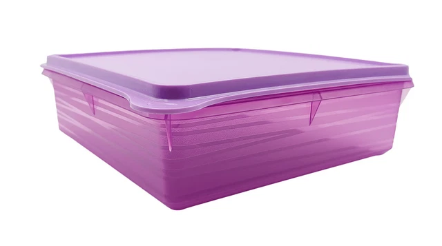 TUPPERWARE B2B PURPLE Snack Stor Sandwich Sweet Keeper Saver Server 2 ...