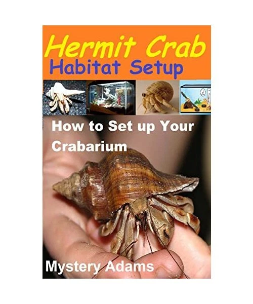 HERMIT CRAB HABITAT Setup: Hermit Crab care and Habitat Set-up, Adams, Mr Myster EUR 9,22 ...