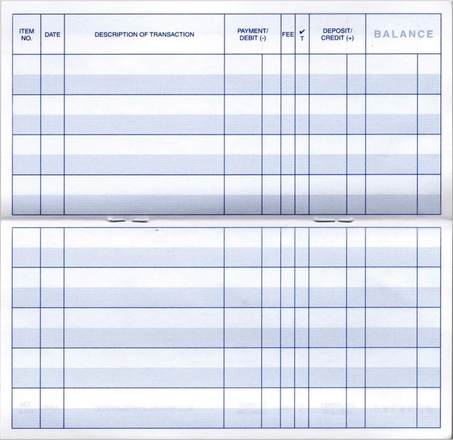 10 LARGER LINES Checkbook Registers 2023-2024-2025 Calendars Check Book ...