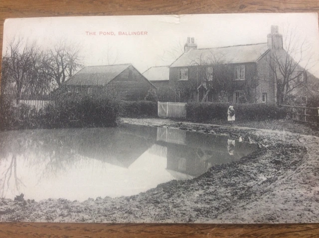 POND BALLINGER GREAT Missenden Buckinghamshire 1909 HUNT Photo Vintage ...