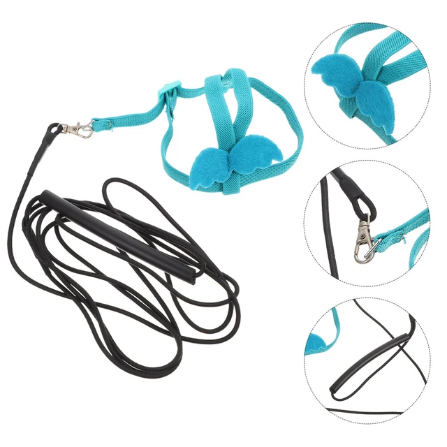 HARNAIS DE PERRUCHE D'aile Chauve-souris Corde Volante Perroquet EUR 8 ...