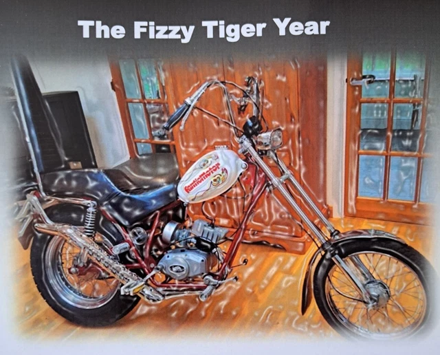 FATHER’S DAY 1970S FIZZY TIGER! GARELLI YAMAHA FS1E HONDA SS50 FANTIC ...