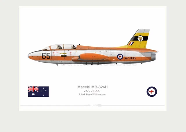 WARHEAD ILLUSTRATED MACCHI MB-326H 2OCU RAAF A7-065 Aircraft Print $29. ...