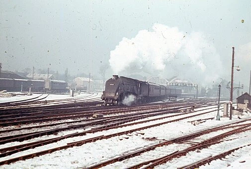 ORIGINAL COLOUR SLIDE of 31874 SR N class steam loco £9.50 - PicClick UK