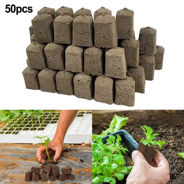 PACK DE 50 pi ces granul s de tourbe texture l g re haute perm abilit ...