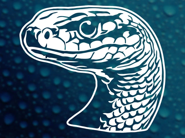 SNAKE DECAL - Cool Reptile Silhouette Vinyl Art Sticker for Car Window ...