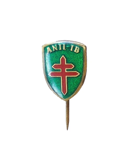 RARE VINTAGE ANTI Tb Tuberculosis Fundraiser Metal Lapel Pin Hat Badge ...