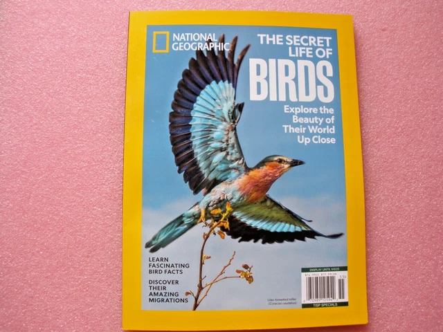 THE SECRET LIFE Of Birds National Geographic 2025 Magazine £7.91 ...