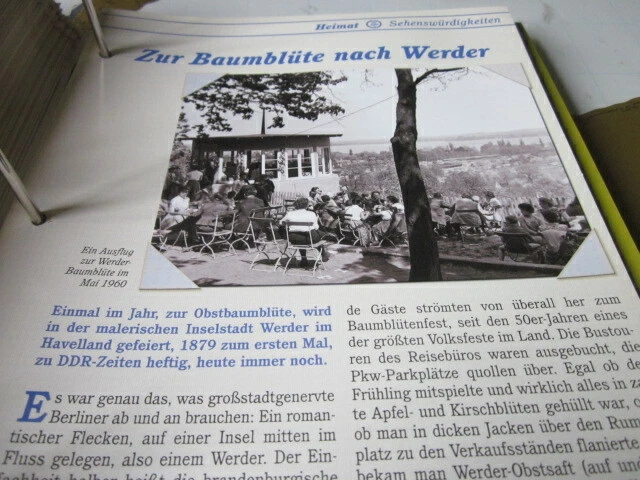 DDR HEIMAT SEHENSWÜRDIGKEITEN zur Baumblüte nach Werder EUR 3,67 - PicClick DE