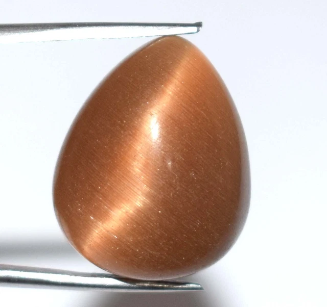 24.55CT PERA MARRÓN de Gato Ojo Suelto Piedra Preciosa 20 X 16MM ...