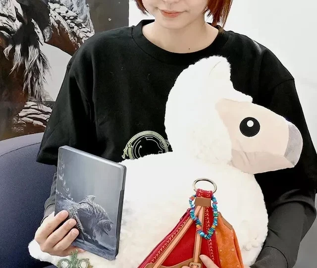 PS5 MONSTER HUNTER Wilds Collector’s Edition Plush Toy Pouch Steel book ...