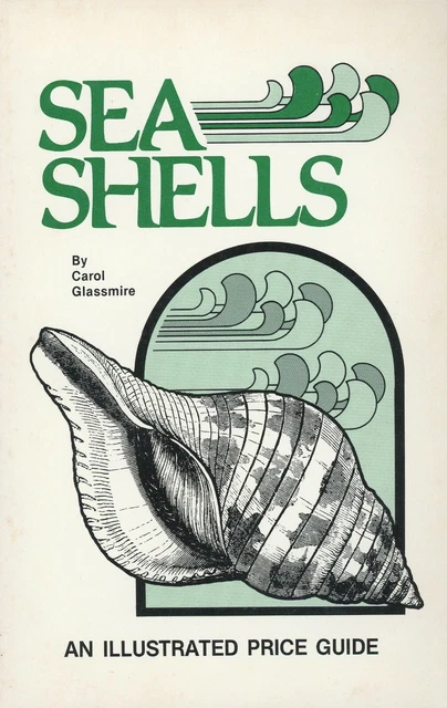 SEA SHELLS IDENTIFICATION - Names Locations Values / Illustrated Book ...