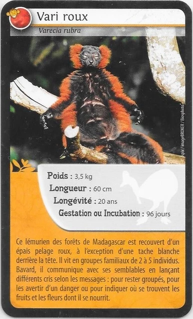 CARTE SUPER U - Bioviva! - Vari roux EUR 1,50 - PicClick IT