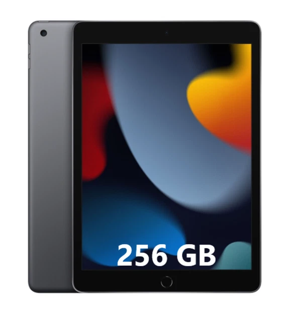 APPLE IPAD 9TH Generation 256 GB Storage, A13 Bionic chip, 10.2-inch ...