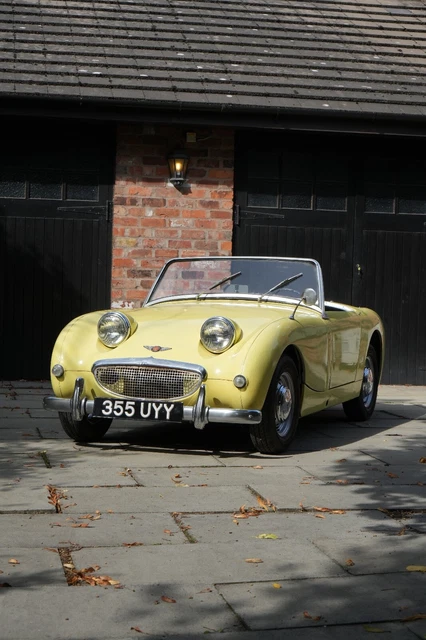AUSTIN HEALEY FROG eye sprite £8,995.00 - PicClick UK