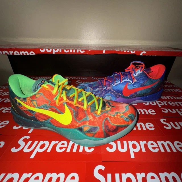 SIZE 11.5- KOBE 8 Protro What The (2025) NEW IN BOX (HM9621 900) "what ...
