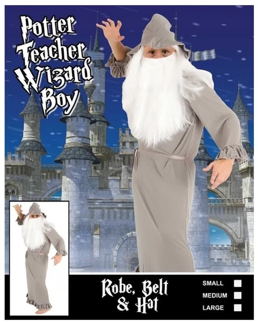 CK1653 POTTER TEACHER Wizard Boy Gandalf Merlin Dumbledore Kid Book ...