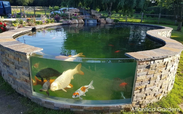 BUILD AN INFINITY Koi Pond Window and Frame - AtlanticaGardens.com EUR ...