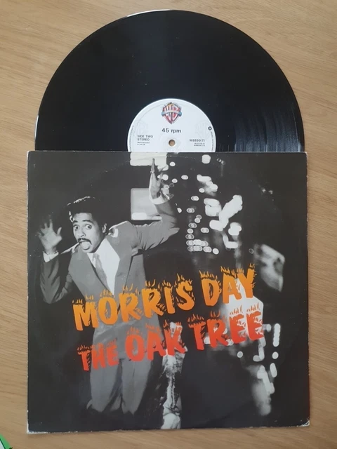 MORRIS DAY THE Oak Tree - A1/B1 Original - 1985 - 12" 4 pistes Single ...