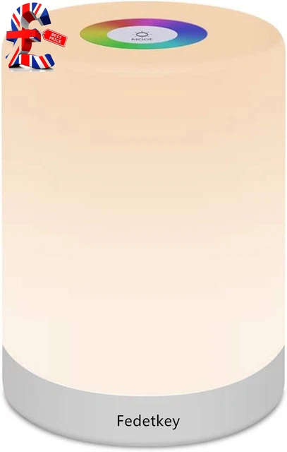 NIGHT LIGHT,LED TOUCH Control Chargeable Smart Bedside Table Lamp,Rgb ...