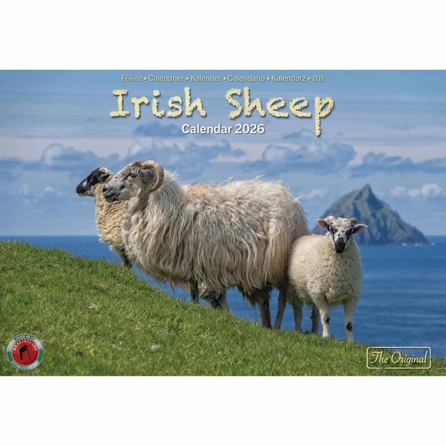 IRISH SHEEP A4 Calendar 2026 - Regional - Month To View £7.49 - PicClick UK