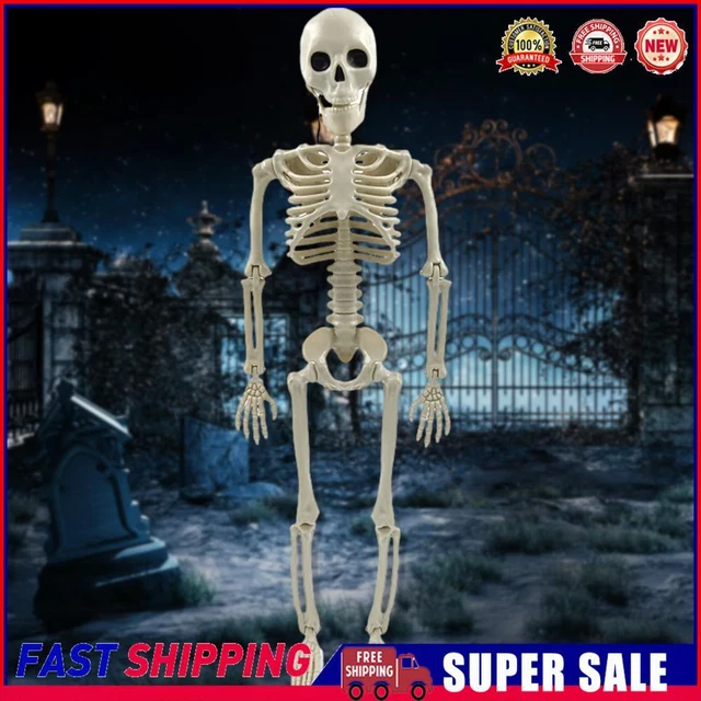 HALLOWEEN 16IN FULL Body Faux Human Skeleton Haunted House Decor(40cm ...