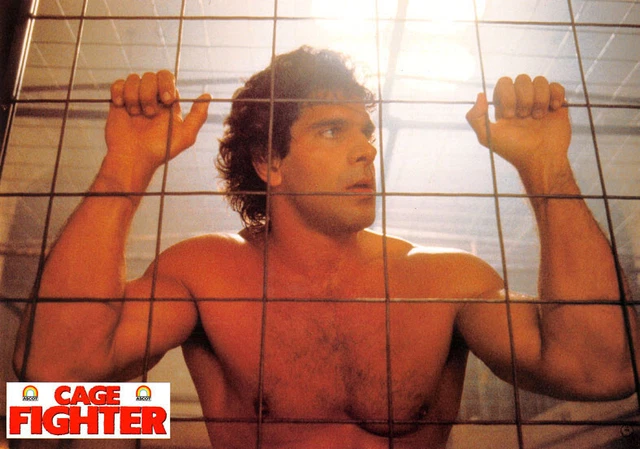 CAGE FIGHTER ORIGINAL Aushangfoto Lou Ferrigno / Reb Brown / Michael ...