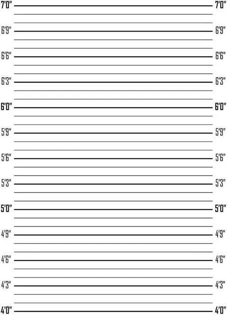 MUGSHOT BACKDROP FOR Photography 5X7FT Police Lineup Height Charts ...