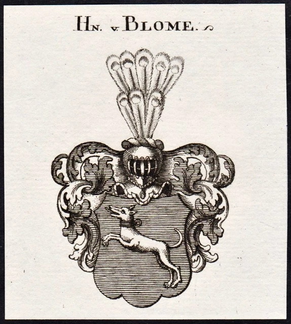 BLOME WAPPEN COAT of arms Adel Heraldik Kupferstich 1820 EUR 11,99 ...