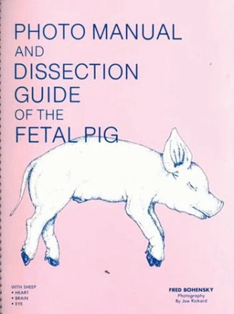 Fetal Pig Dissection Guide Pdf