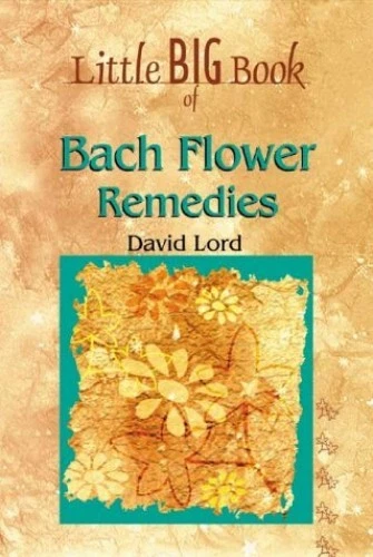 LITTLE BIG BOOK Bach Flower Remedies (Li..., David Lord EUR 8,45 ...