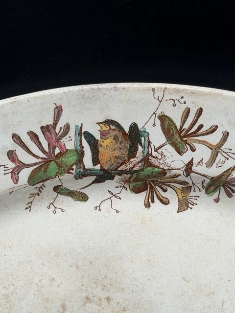 PLAT OVALE ANCIEN Collection E. Bourgeois Paris & Marseille XIX Japon ...