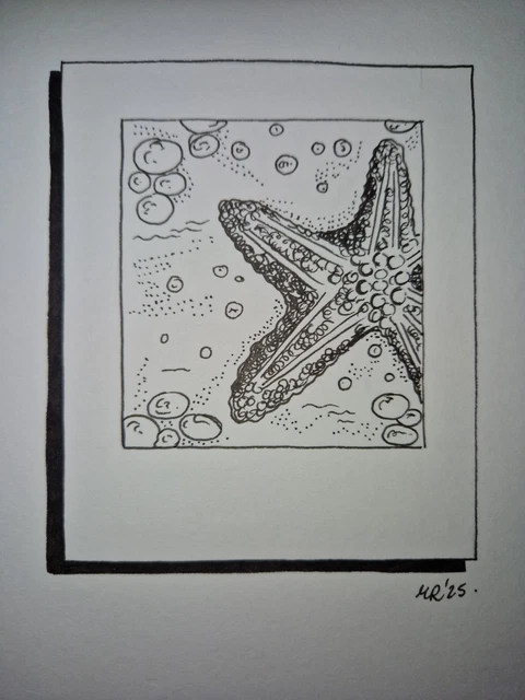 ORIGINAL INK ILLUSTRATION: Polaroid: 'Starfish 2025' by Michelle Ranson ...