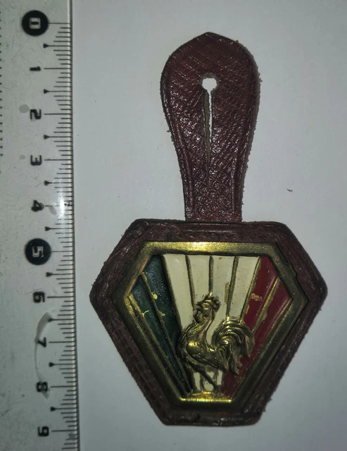INSIGNE DU CORPS expéditionnaire français en Italie (CEF)... EUR 45,00 ...