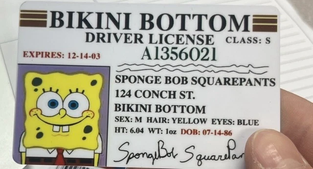SPONGEBOB SQUAREPANTS DRIVER'S License PVC Card Novelty £14.42 ...